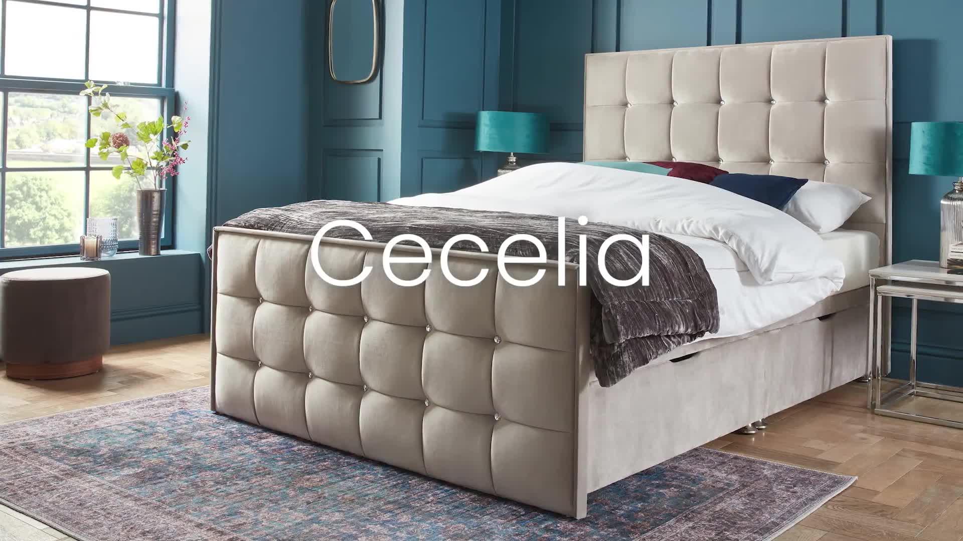 Cecelia King Ottoman Bedframe | DFS