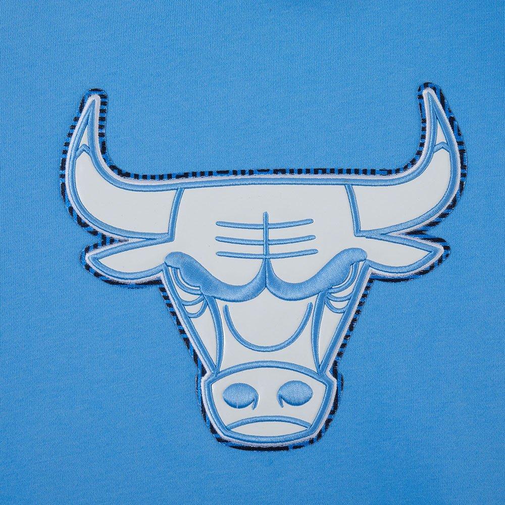 Blue Chicago Bulls Logo Blue Bulls, Blue Logo, HD Wallpaper | Peakpx