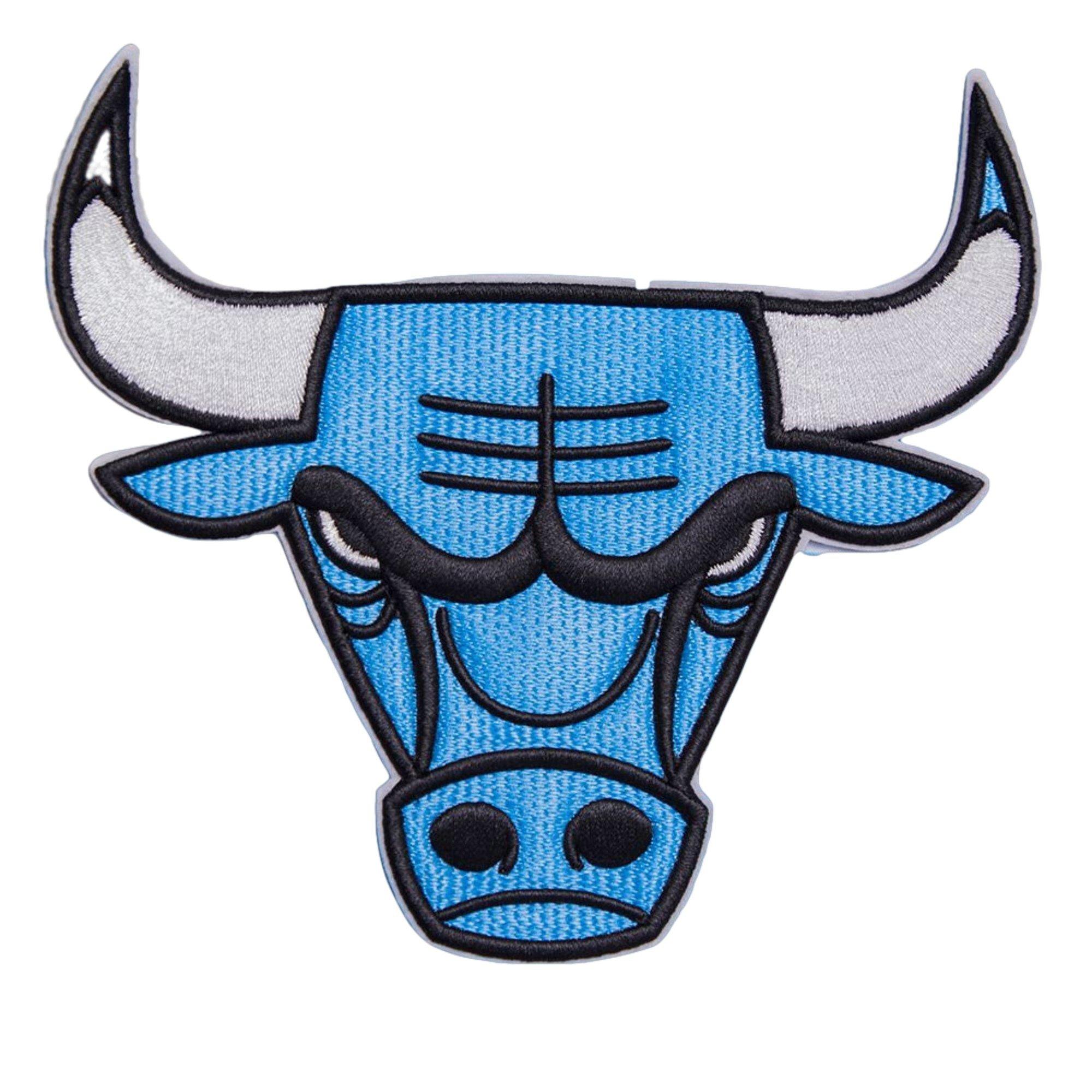 Blue Chicago Bulls Logo Blue Bulls, Blue Logo, HD Wallpaper | Peakpx